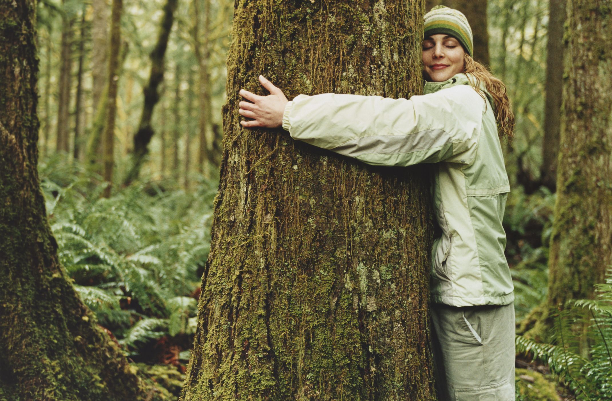 Irish Heritage Tree planting native trees in Ireland
