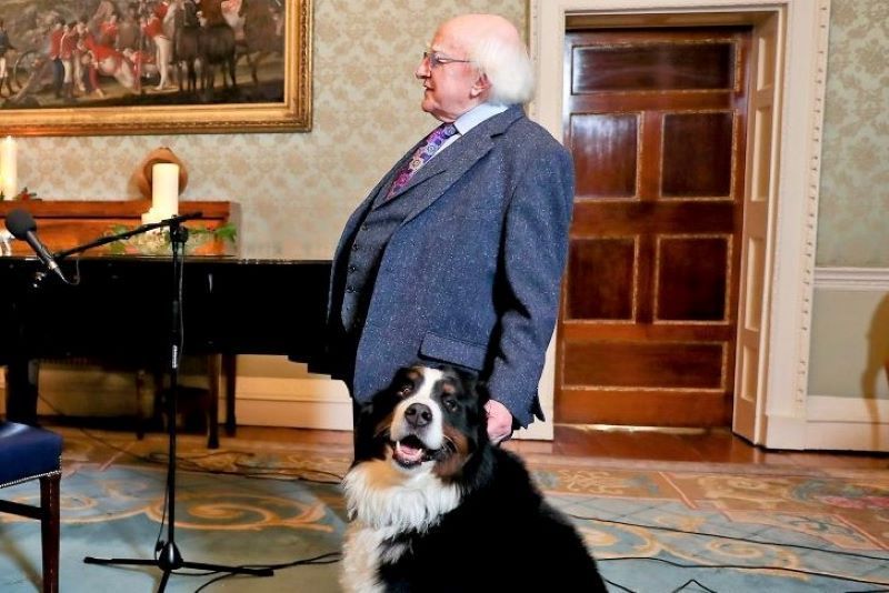 President Michael D. Higgins has a new dog - Misneach!