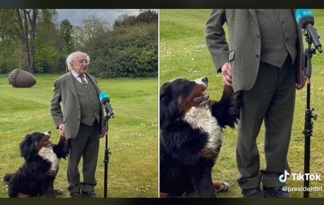 Michael D. Higgins' dogs steal the spotlight in new video