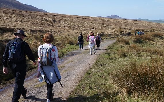Seven Irish walks named among the best in Europe