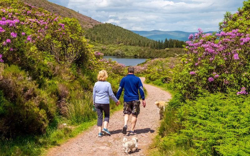 Make your Irish dreams come true with NACTA Travel