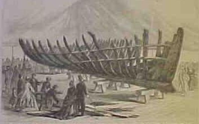 Sparrow-Hawk: shipwreck brought Irish servants to Virginia