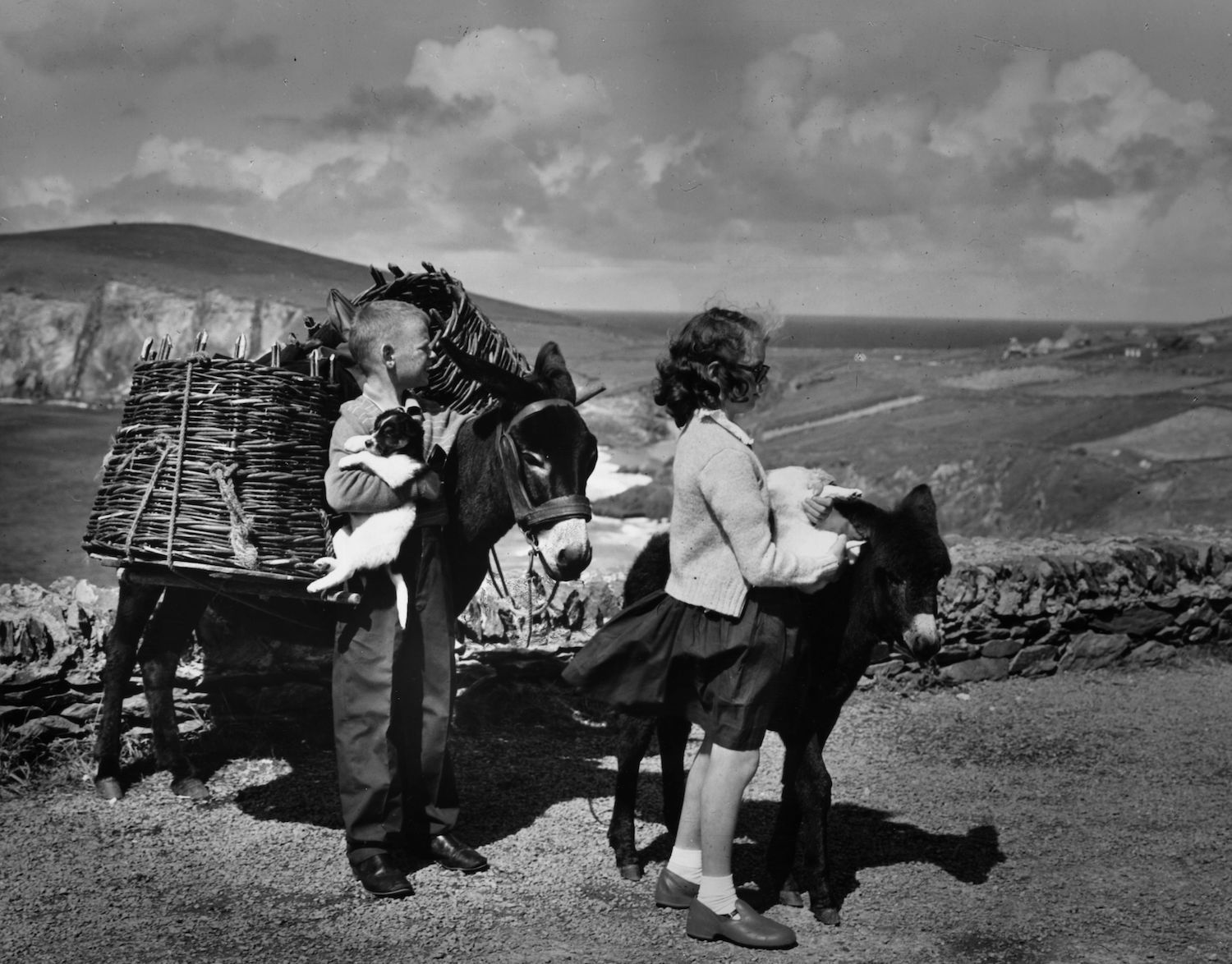 Ireland of the Welcomes: What happened in Ireland in 1952?
