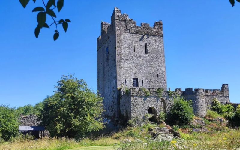 Early Irish Architecture