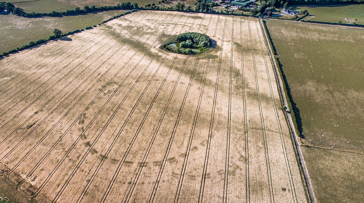Newgrange Farm Archaeological Park tour