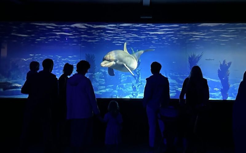 Dingle Bay comes to life in new virtual experience attraction