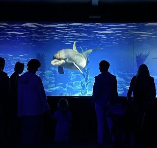 Things to do in Ireland - adventures and activities for all ...