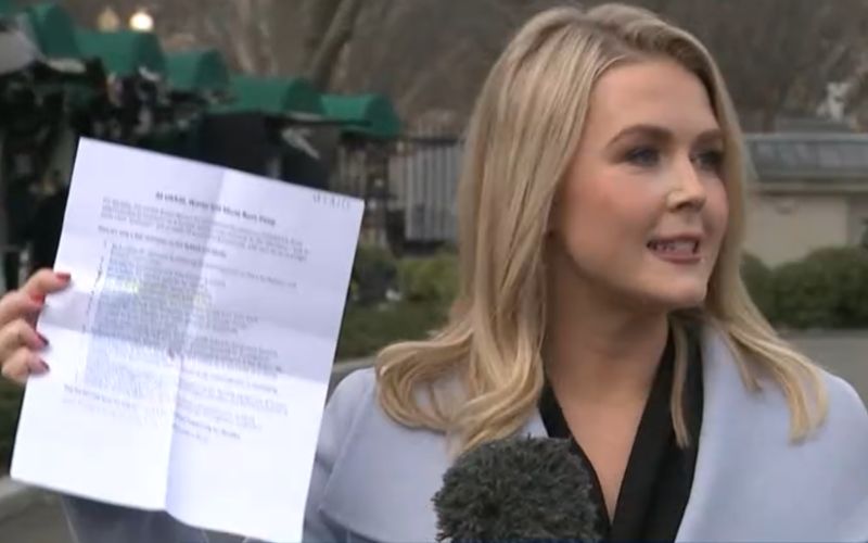 “DEI musical in Ireland” among USAID’s “waste and abuse”