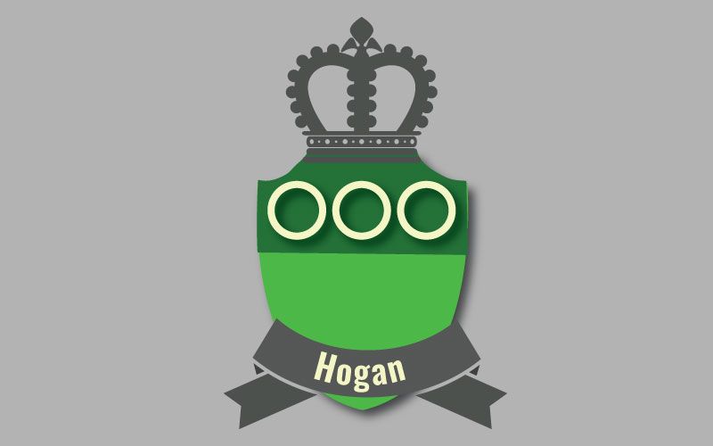 Hogan Irish name: meaning, name in Irish, counties, facts ...