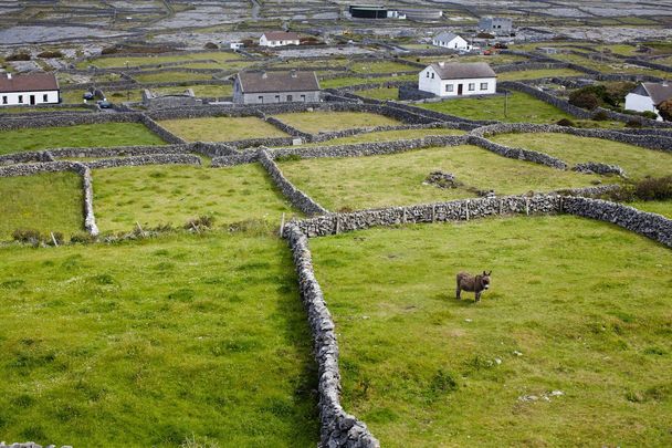 A history in Ireland's dry stone walls