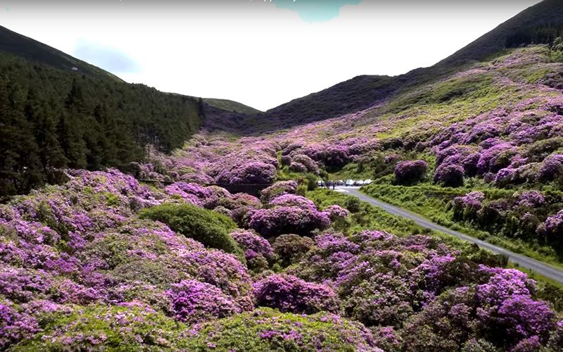 WATCH: Tipperary drone footage of Vee Pass