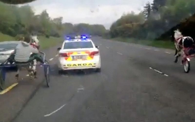 Irish police try stop travellers horse race on highway | IrishCentral.com