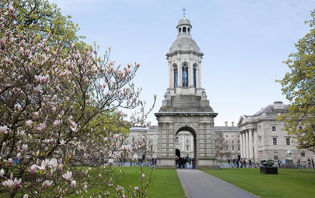 Top five reasons to study for an MBA according to Trinity College ...