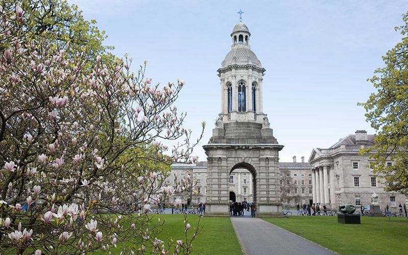 Top five reasons to study for an MBA according to Trinity College ...