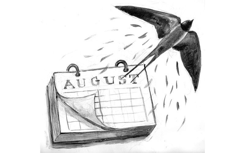 Joys of virtually surreal August in Ireland | IrishCentral.com