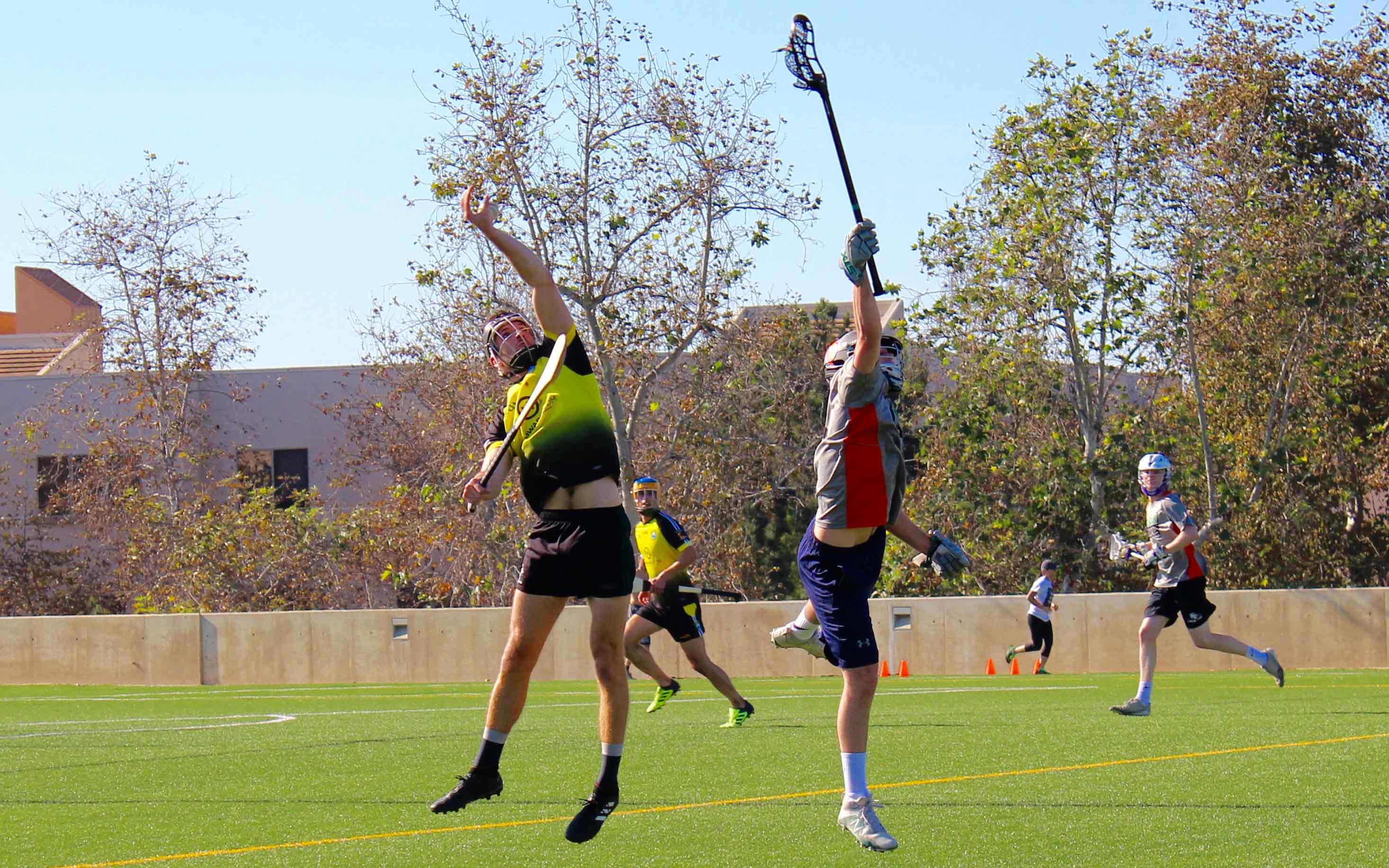 Have you heard of Hurlacrosse? The new sport which combines hurling and ...