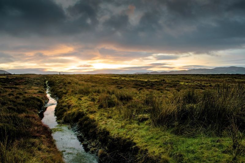 How to make your own bog butter in Ireland