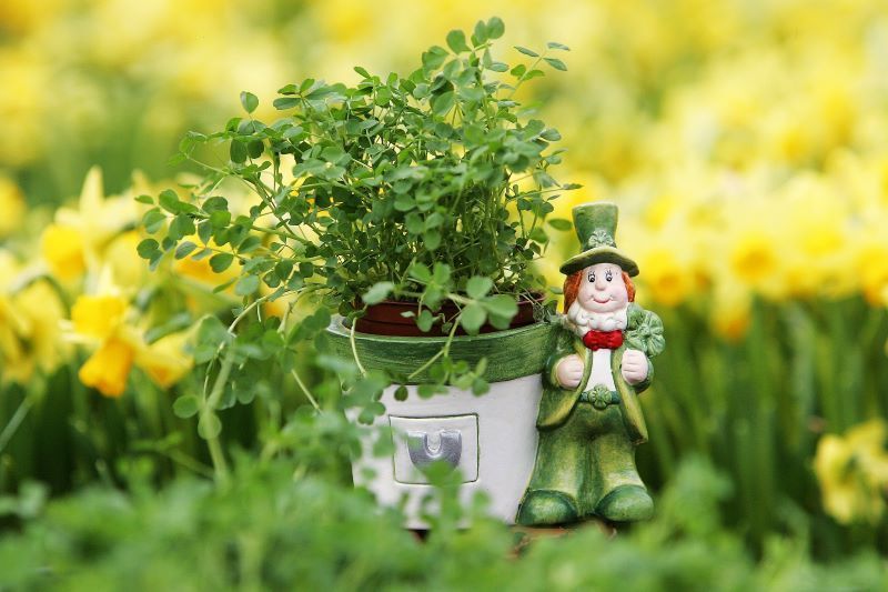Irish symbols: Shamrocks, leprechaun, what do they mean
