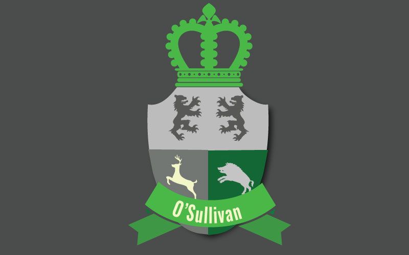Tracing your Irish ancestry - The O'Sullivan Clan