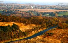 Barack and Michelle Obama statue unveiled in Moneygall, County Offaly ...