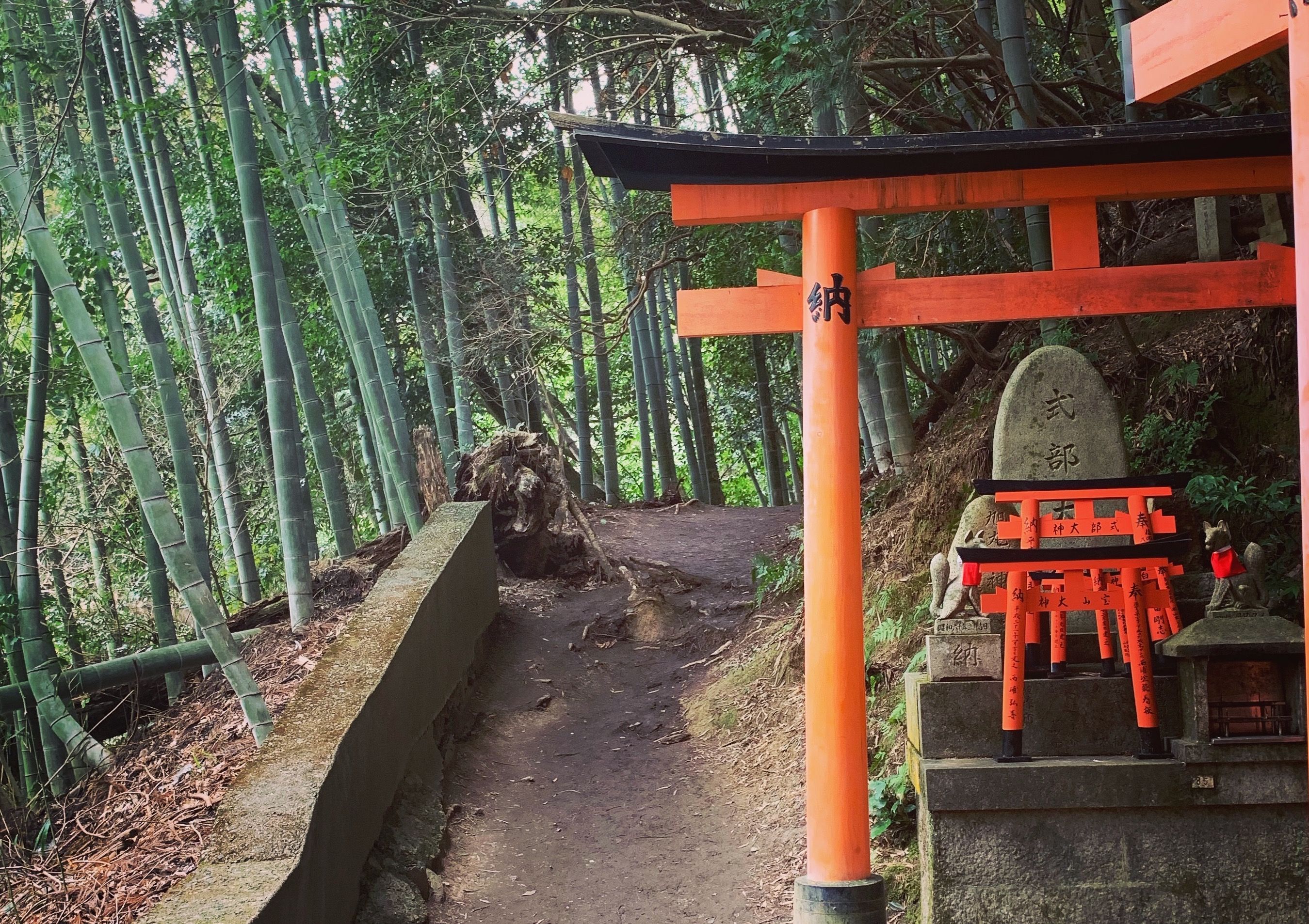 Exploring the ever-growing links between Japan and Ireland