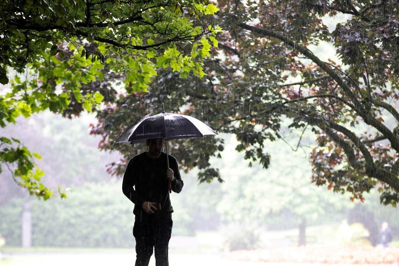 This Umbrella Day, here's reasons to love Irish rain!