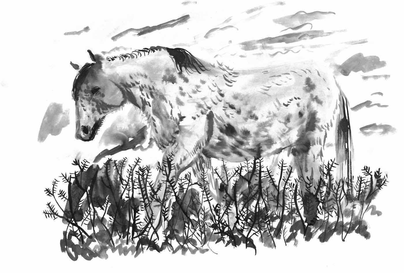 TÁIN: The Women's Stories - retelling of the famous Irish epic