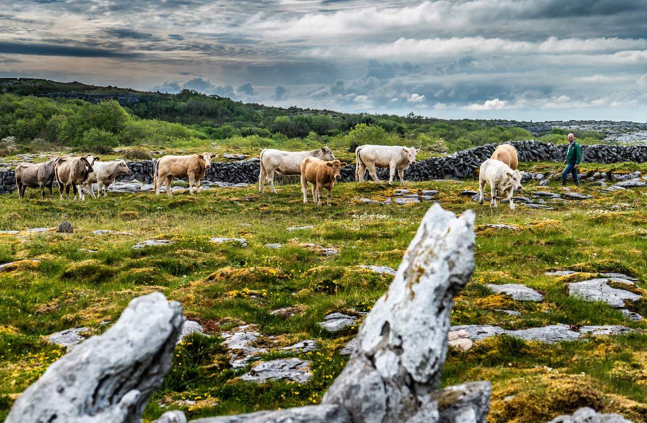Bike ride route: The Burren, County Clare