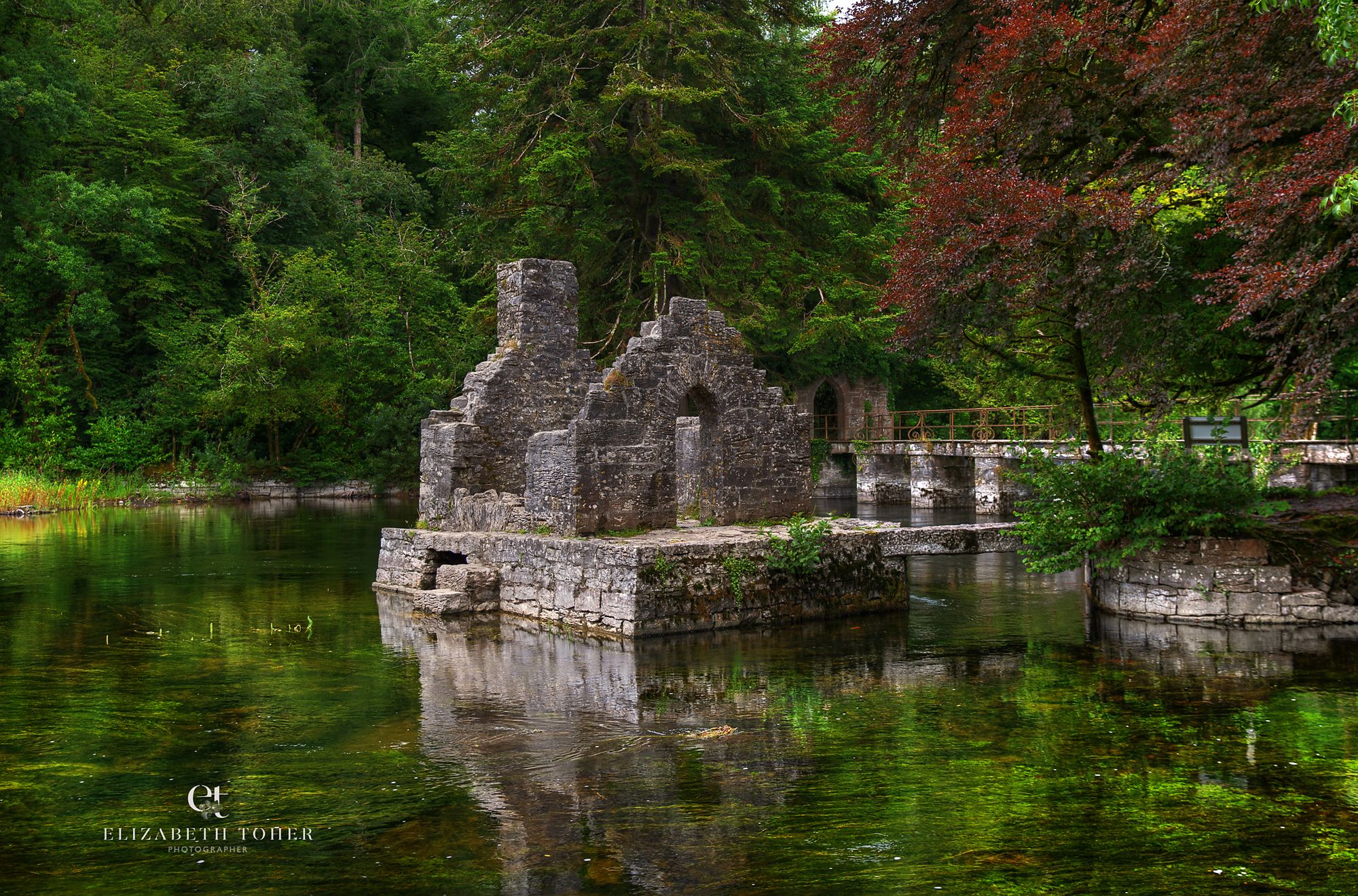 Elizabeth Toher celebrates love for "Quiet Man's" Cong in book