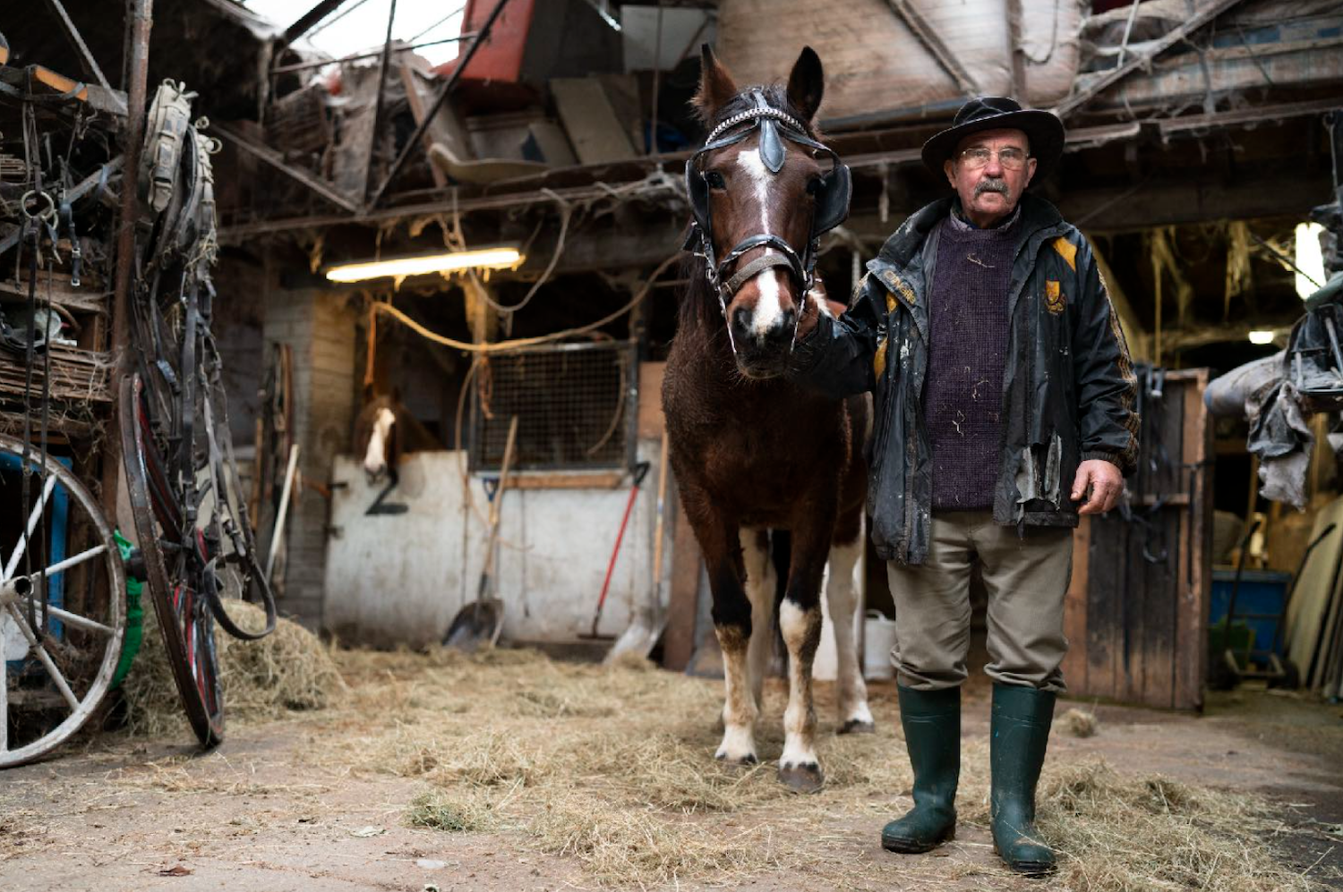 "Paddy Irishman" exhibition in New York, St. Patrick's Day