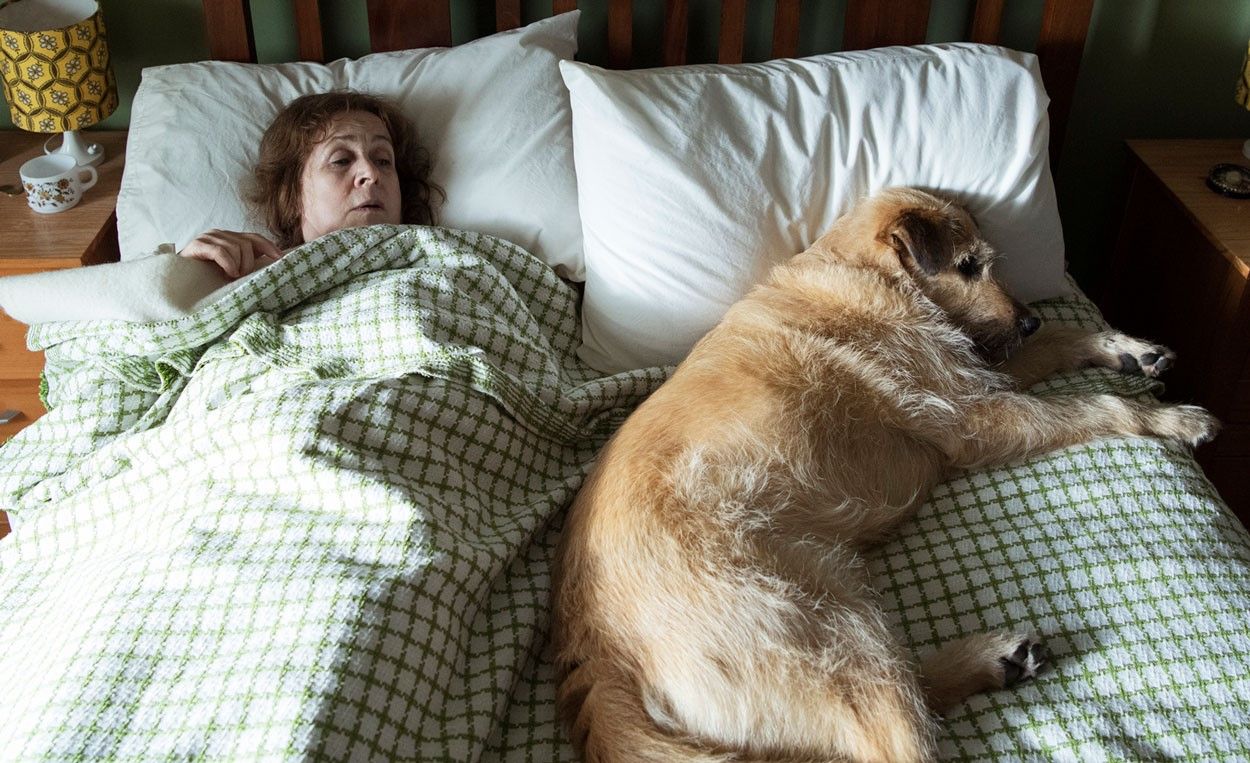 "Róise & Frank" - Irish language films connect internationally