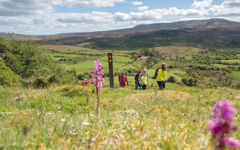 Exploring the charm and beauty of County Cavan