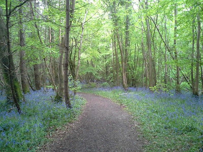Ireland's top walking trails and hikes revealed