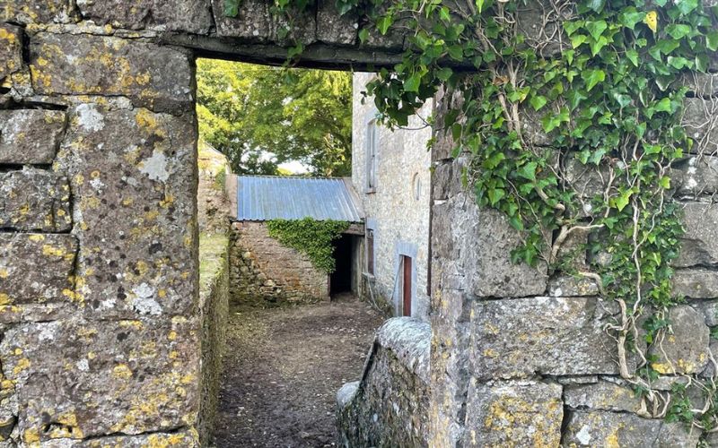 Tinny Park House, Roscommon offers a slice of Irish heritage