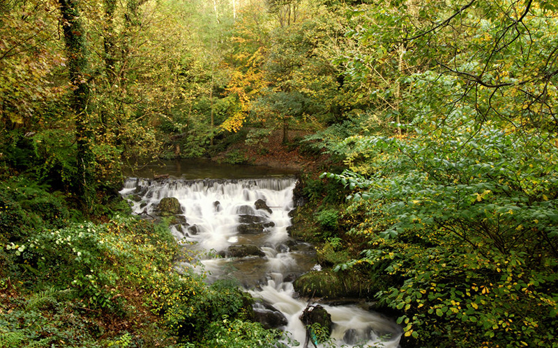 County Cavan: The top five places to visit