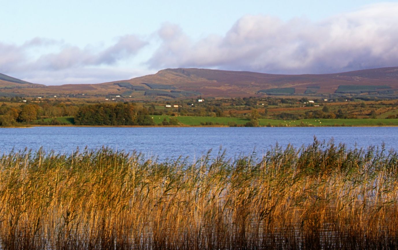 County Cavan: Facts and stats