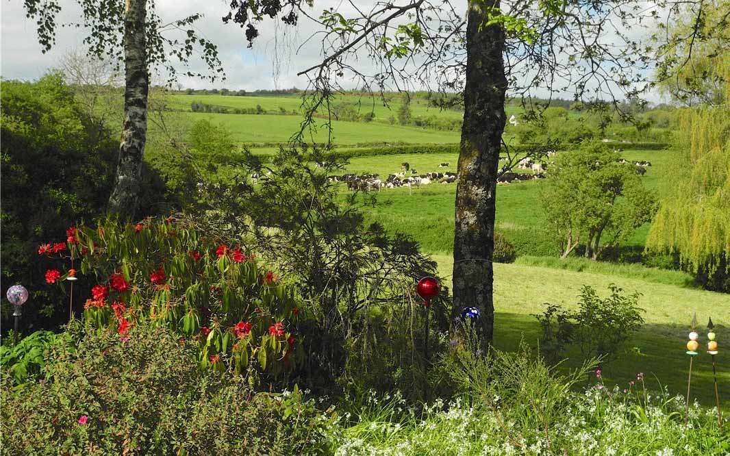 Historical forge thatched cottage for sale in Ireland